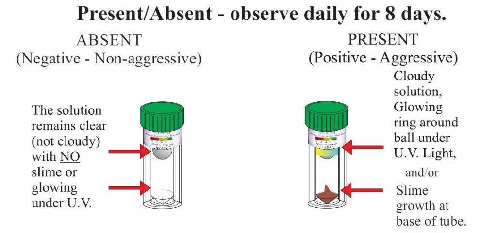 Slime-forming bacteria SLYM Biological Activity Reaction Test (BART ...