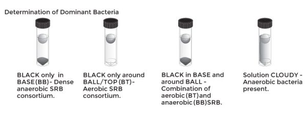 Sulfate Reducing Bacteria SRB Biological Activity Reaction Test (BART ...