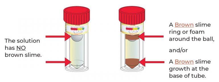 Iron Related Bacteria IRB Biological Activity Reaction Test (BART) Kit ...